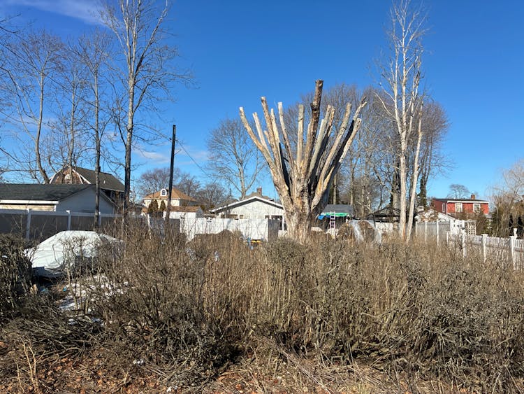 12 Brook Street, Patchogue, NY 11772, Suffolk County | Auction.com