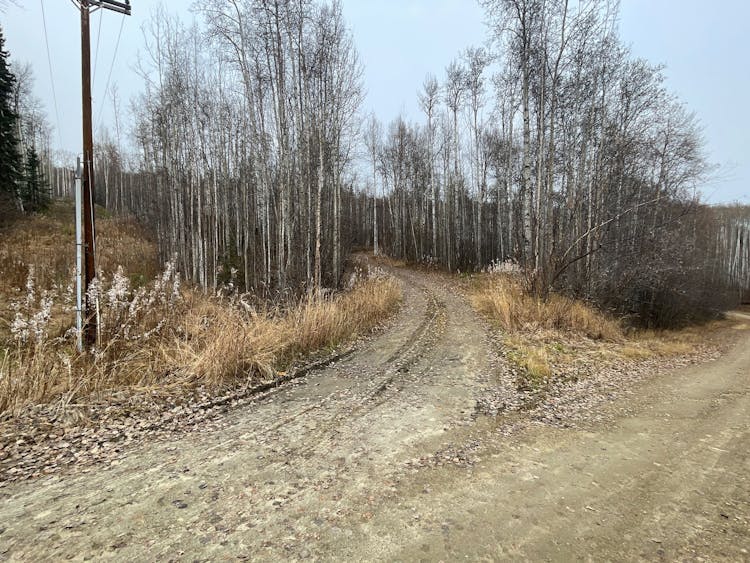 1279 Grouse Ct, Fairbanks, AK 99709, Fairbanks North Star County ...