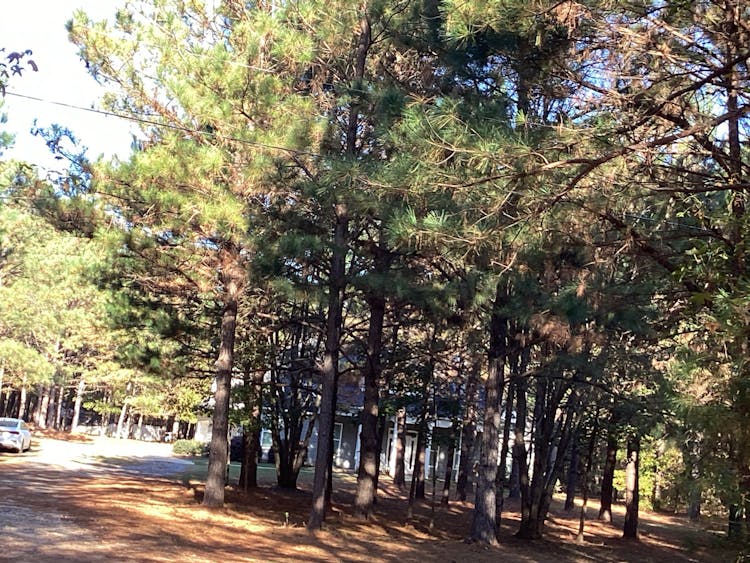 2383 Lee Road #254, Salem, AL 36874, Lee County | Auction.com