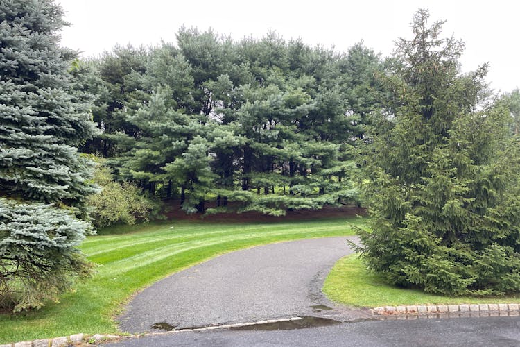 6 Trout Brook Court, Chester, NJ 07930, Morris County | Auction.com