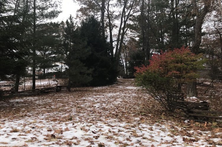 5193 5 Mile Rd, Hope, MI 48628, Midland County | Auction.com