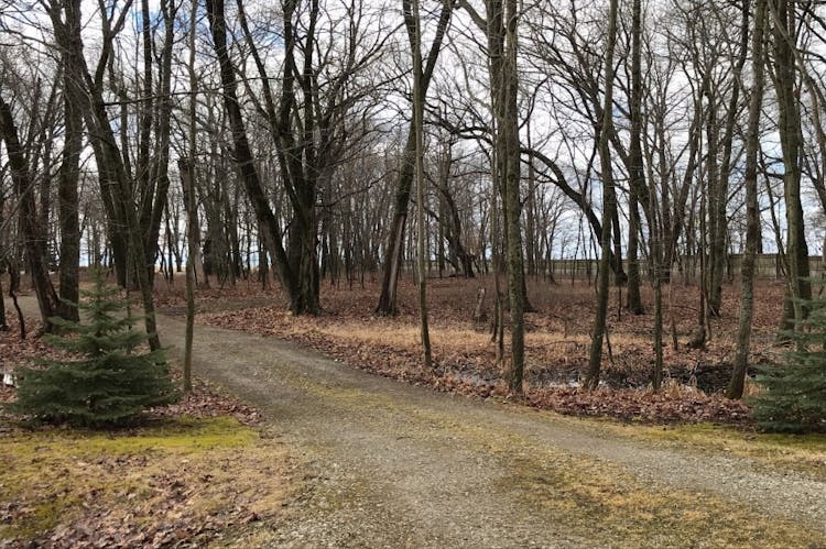 6364 Atkinson Rd, Grayling, MI 49738, Crawford County | Auction.com